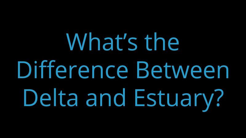 What’s the Difference Between Delta and Estuary?