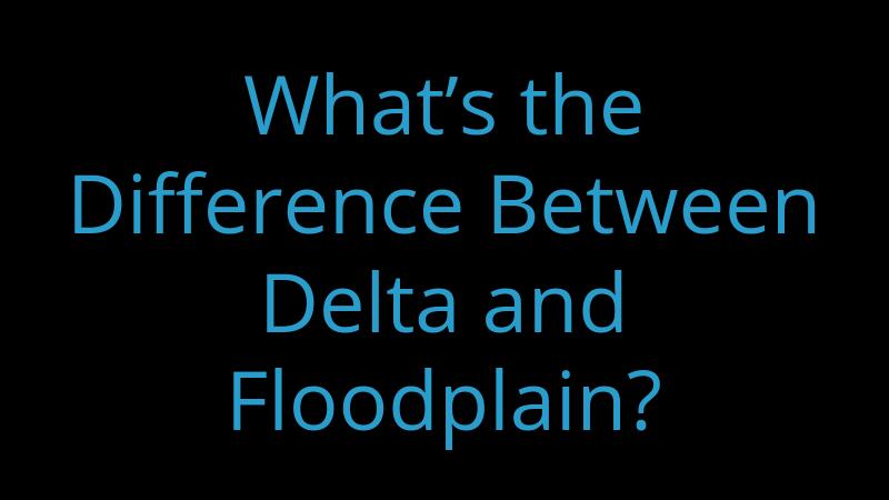 What’s the Difference Between Delta and Floodplain?