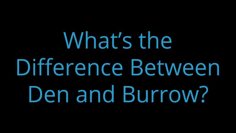 What’s the Difference Between Den and Burrow?