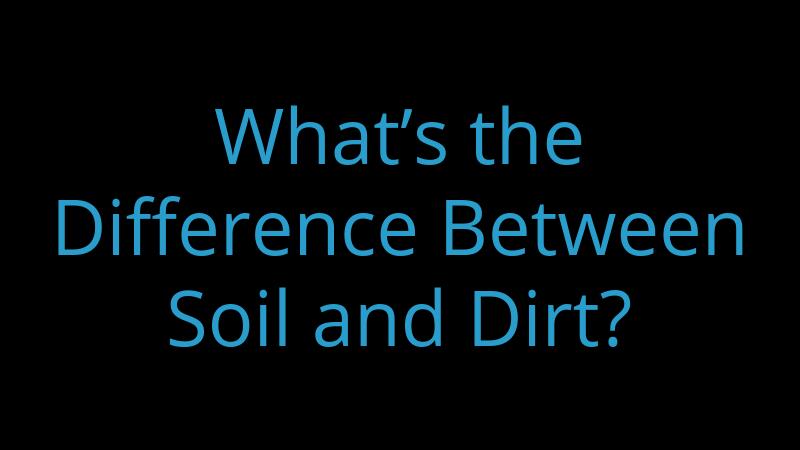 What’s the Difference Between Soil and Dirt?
