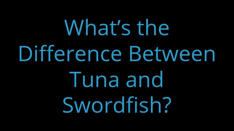 What’s the Difference Between Tuna and Swordfish?